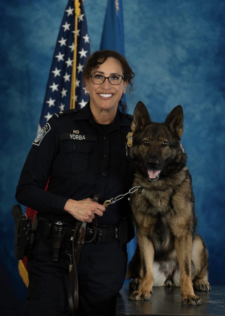 Challenges Faced by Retired Canines - Paws of Honor