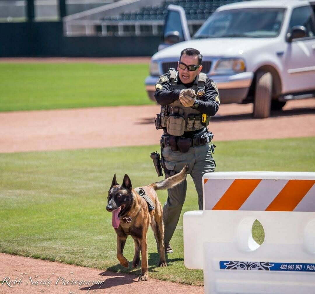 Max - Paws of Honor