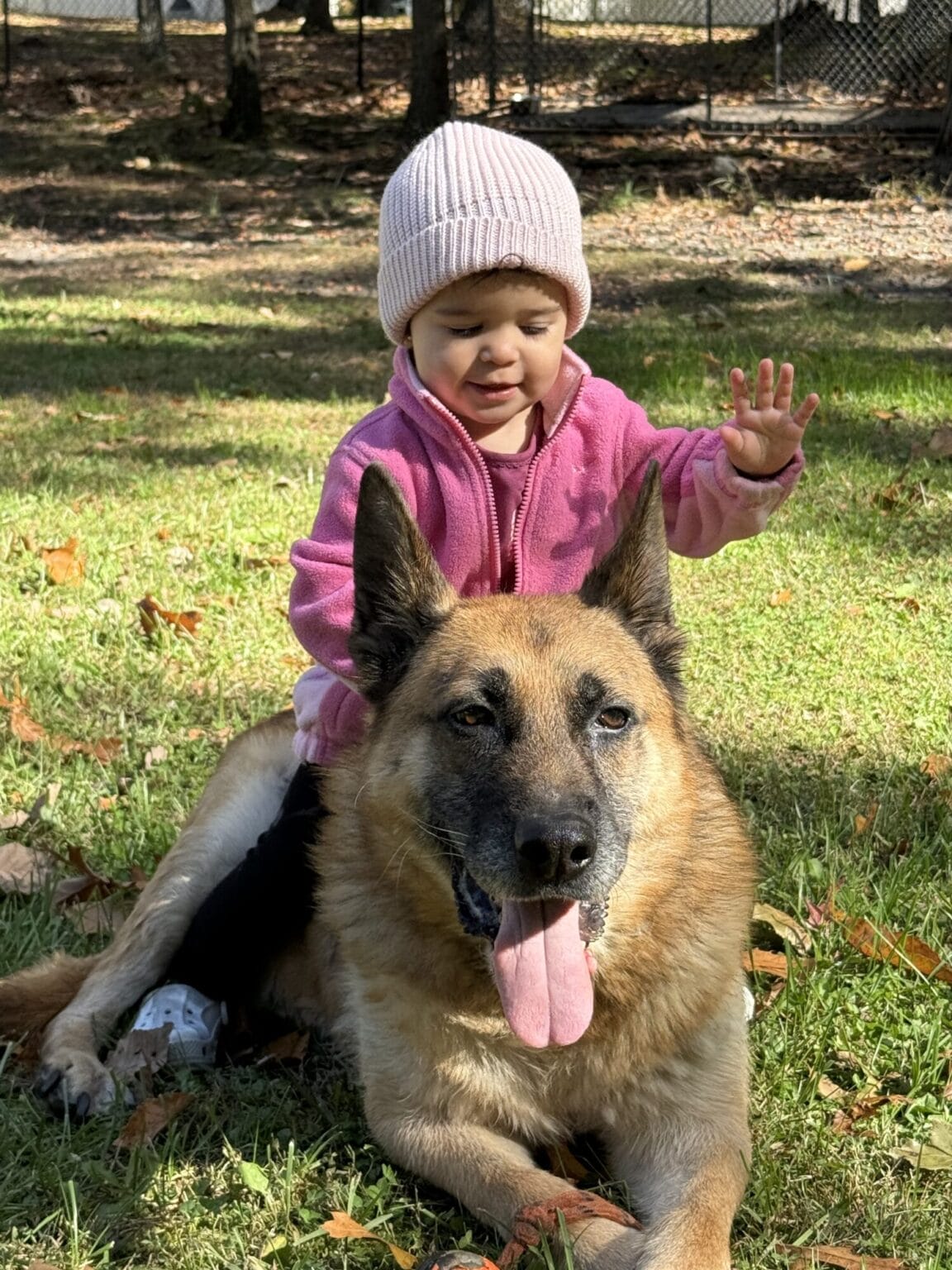 Recon - Paws of Honor